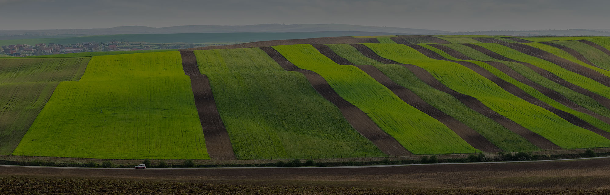 field-bg - J. L. Farmakis, Inc.